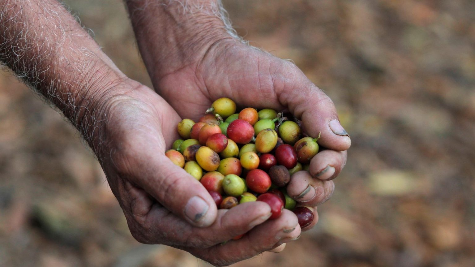 Drought And Climate Change Are Forcing Young Guatemalans To Flee To The ...